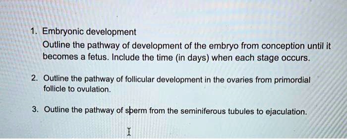 1. Embryonic development Outline the pathway of development of the ...
