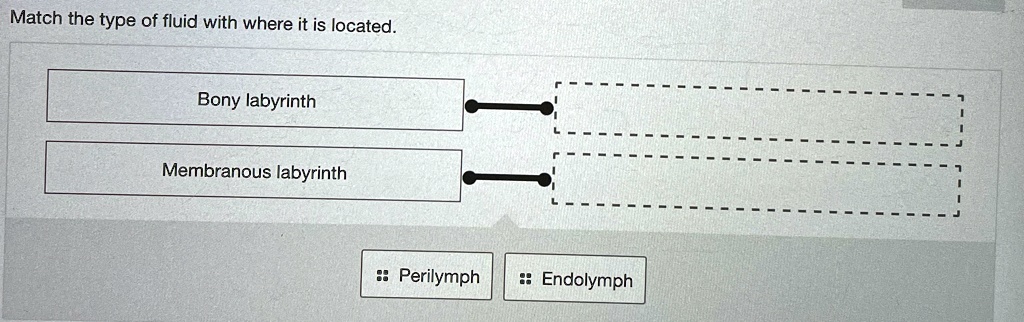 Match the type of fluid with where it is located. Bony labyrinth ...