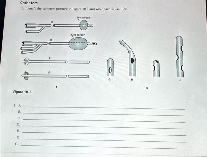 Catheters 1. Identify the catheters pictured in Figure 10-6 and what ...