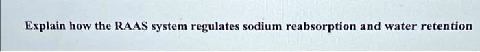 Explain how the RAAS system regulates sodium reabsorption...