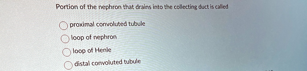 portion of the nephron that drains into the collecting duct is called ...