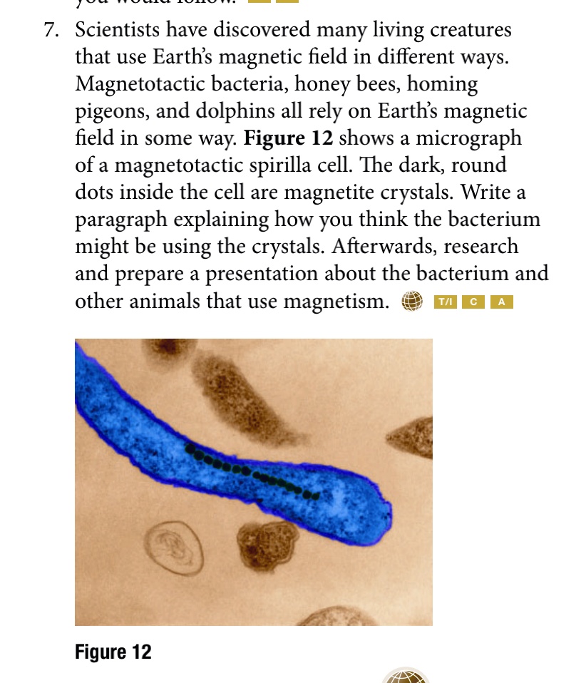 7. Scientists have discovered many living creatures that use Earth's ...
