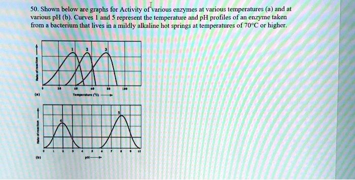 VIDEO solution: 50. Shown below are graphs for Activity of various enzymes at various ...