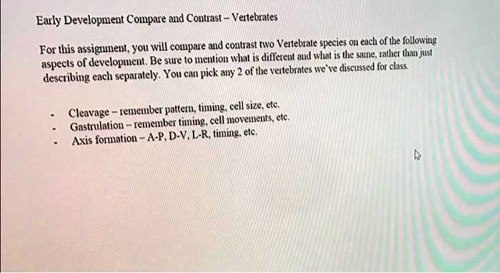 Vertebrates Mammals Animals