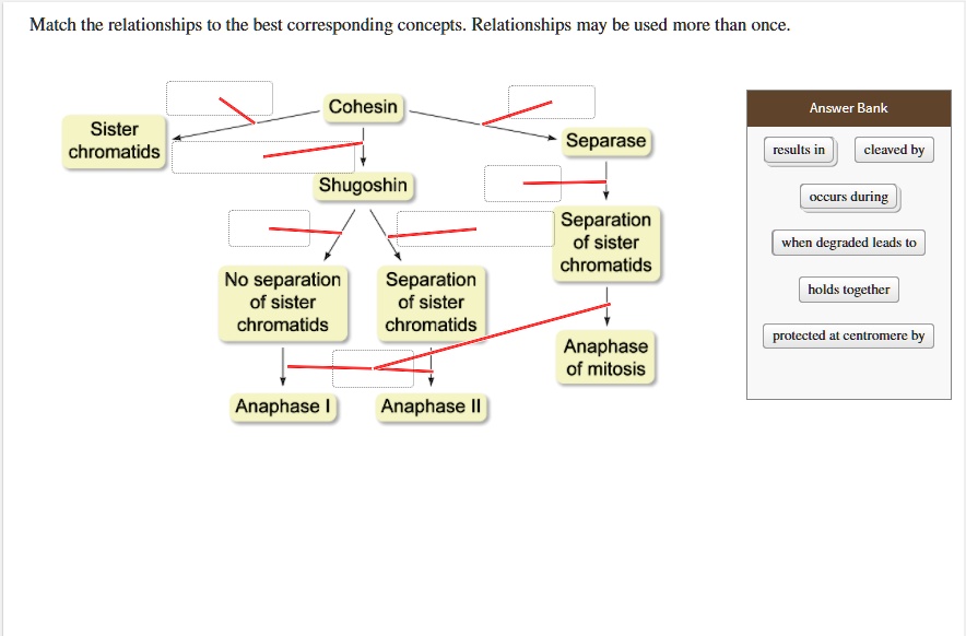 SOLVED: Match the relationships to the best corresponding concepts ...
