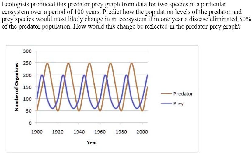 ecologists produced this predator prey graph from data for two species ...