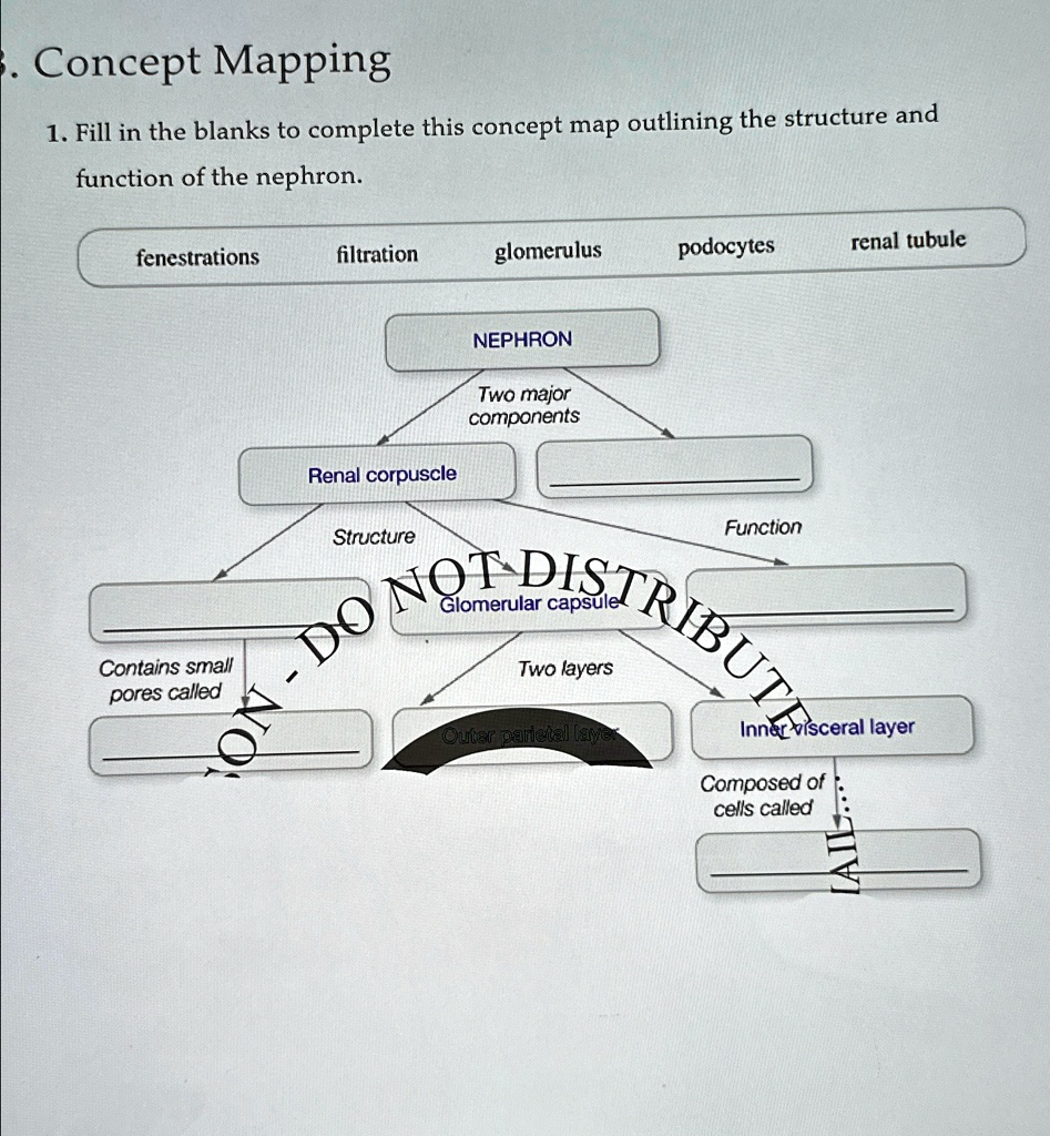 Concept Mapping Fill in the blanks to complete this concept map ...