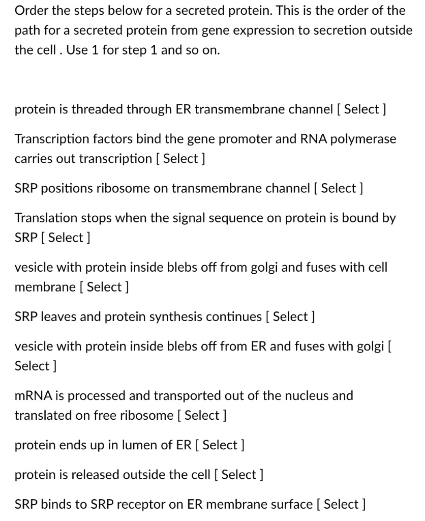Order the steps below for a secreted protein. This is the order of the ...