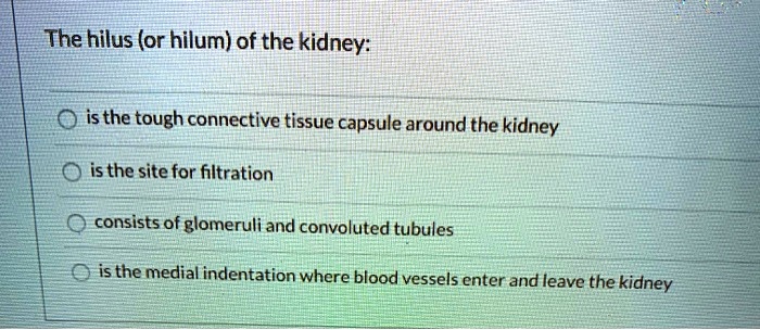 SOLVED: The hilus (or hilum) of the kidney is the tough connective tissue capsule around the ...