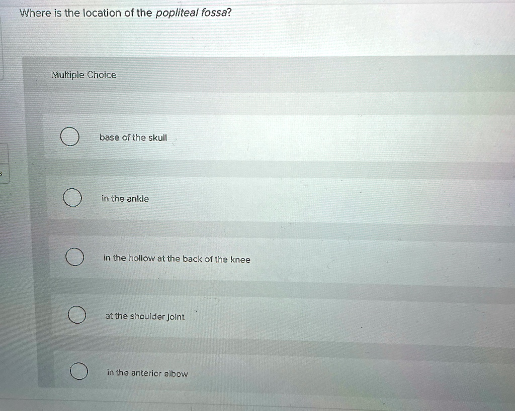 where is the location of the popliteal fossa multiple choice base of ...