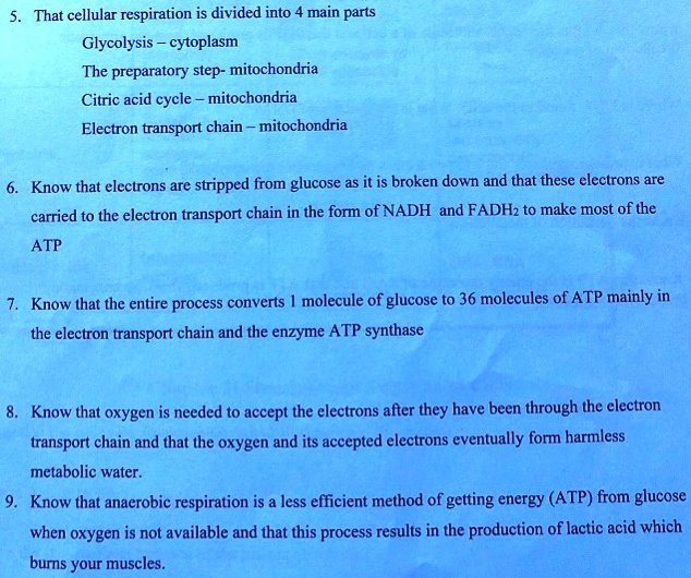 SOLVED: That cellular respiration is divided into main parts Glycolysis ...