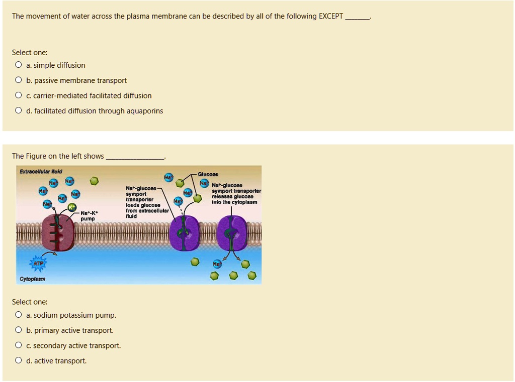 The movement of water across the plasma membrane can be described by all of the following EXCEPT ...