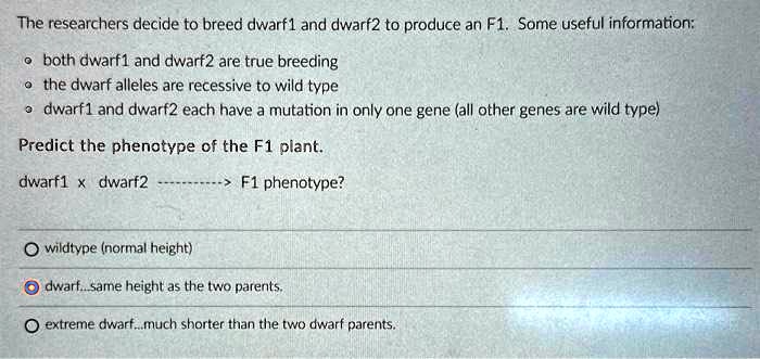 SOLVED: The researchers decide to breed dwarf1 and dwarf2 to produce an ...