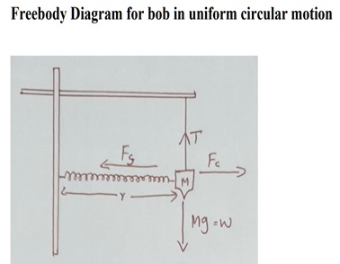 Freebody Diagram for bob in uniform circular...