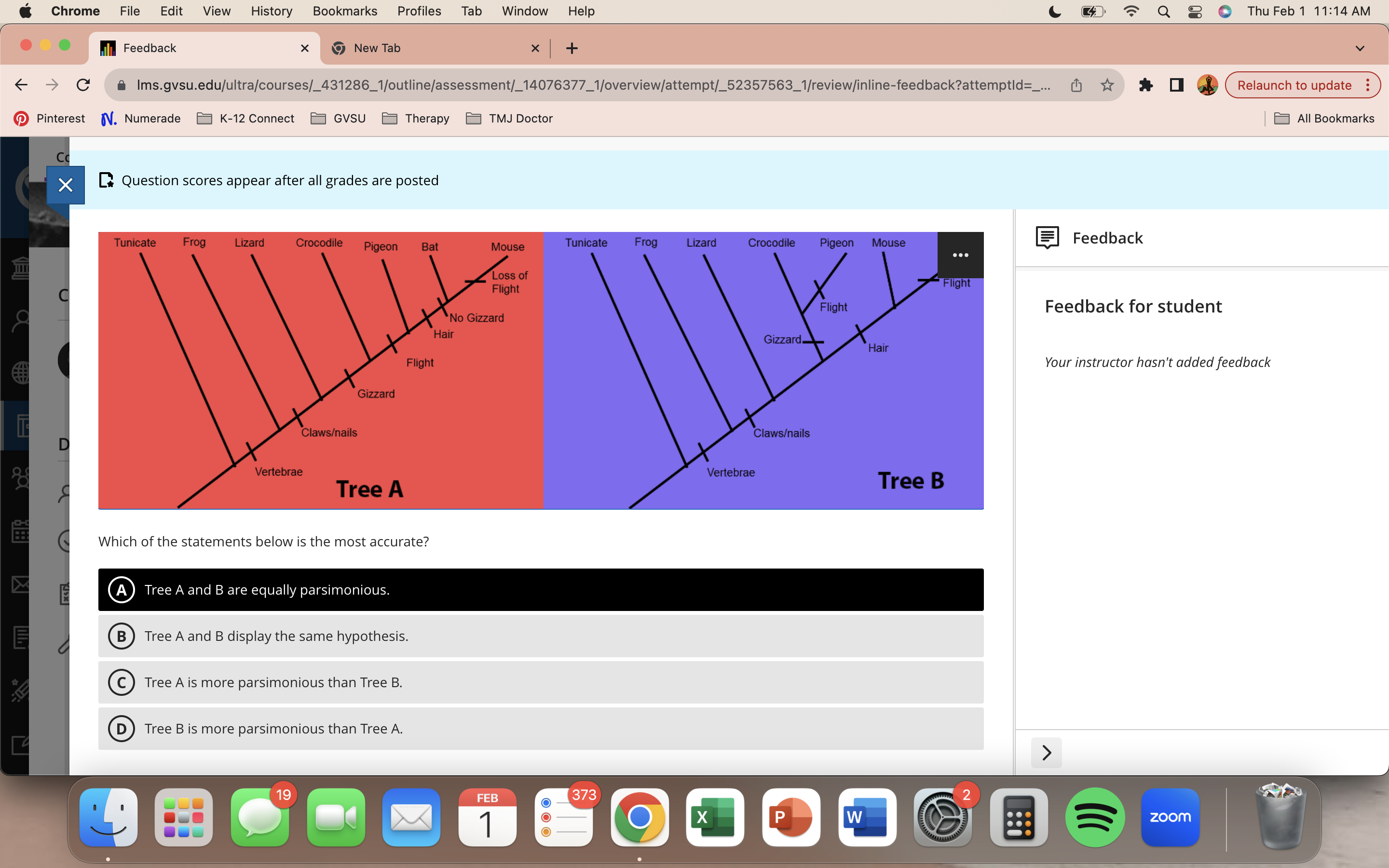 SOLVED: Which of the statements below is the most accurate? Tree A and B are equally ...