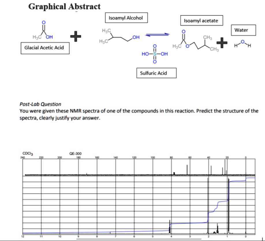 SOLVED: Graphical Abstract Isoamyl Alcohol Isoamyl acetate HaC Water H ...