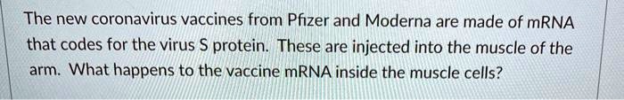 SOLVED: The new coronavirus vaccines from Pfizer and Moderna are made ...