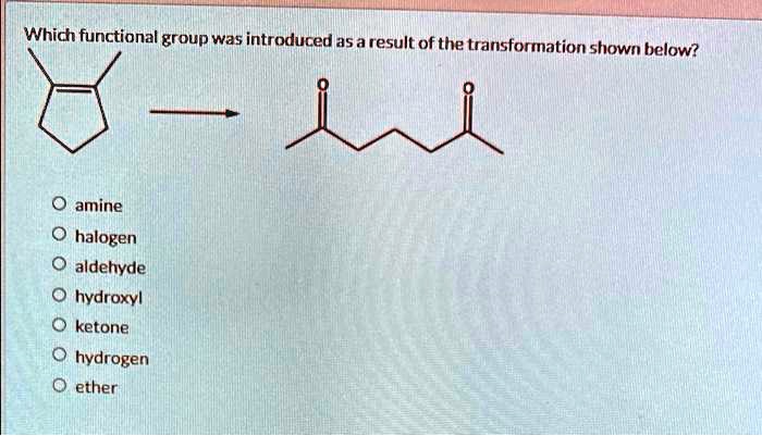 Which functional group was introduced as a result of the transformation ...