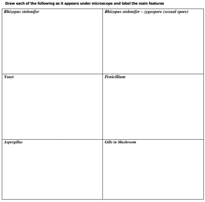 VIDEO solution: Draw each of the following as it appears under a ...