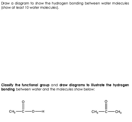 Draw a diagram to show the hydrogen bonding between water...