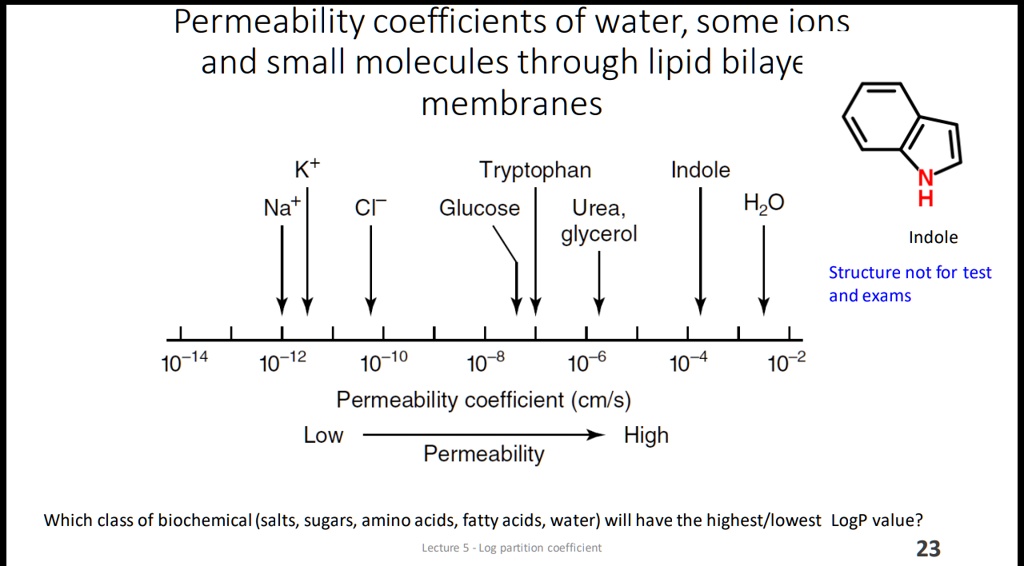 SOLVED: Permeability coefficients of water; some ions and small ...