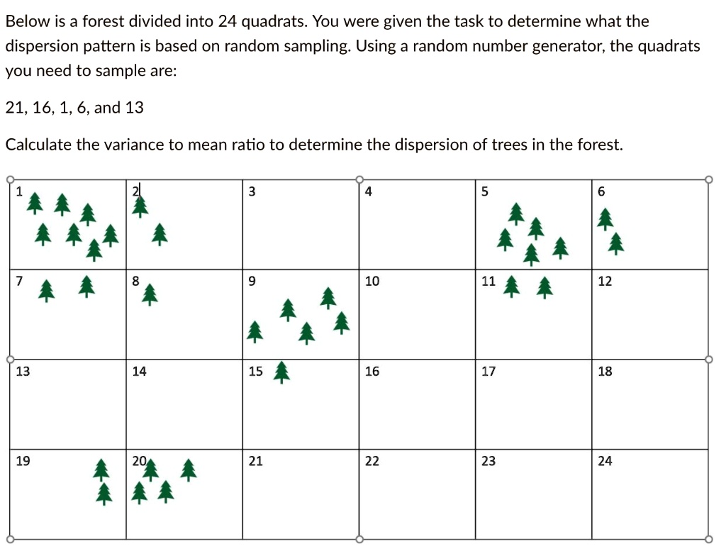 SOLVED: Below is a forest divided into 24 quadrats. You were given the ...