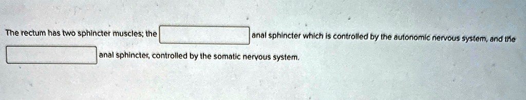 the rectum has two sphincter muscles the anal sphincter which is ...