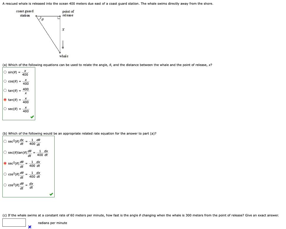 A rescued whale is released into the ocean 400 meters due east of a ...