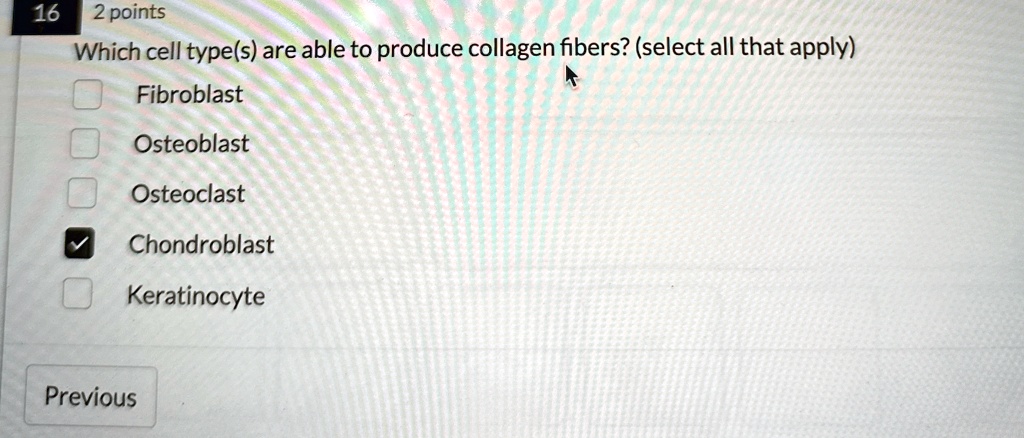 16 2 points which cell types are able to produce collagen fibers select ...