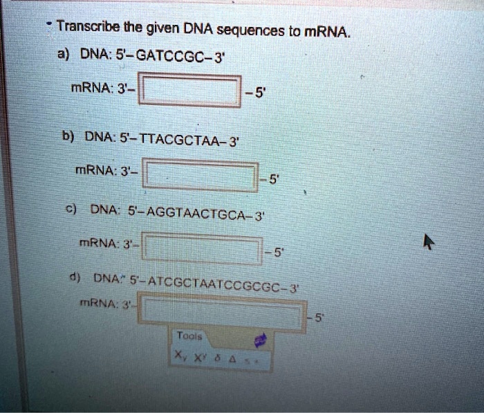 SOLVED: Transcribe the given DNA sequences to mRNA: a) DNA: 5'-GATCCGC ...