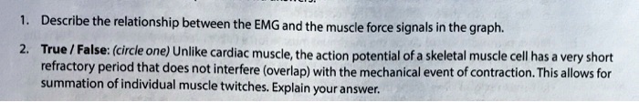1. Describe the relationship between the EMG and the muscle force ...