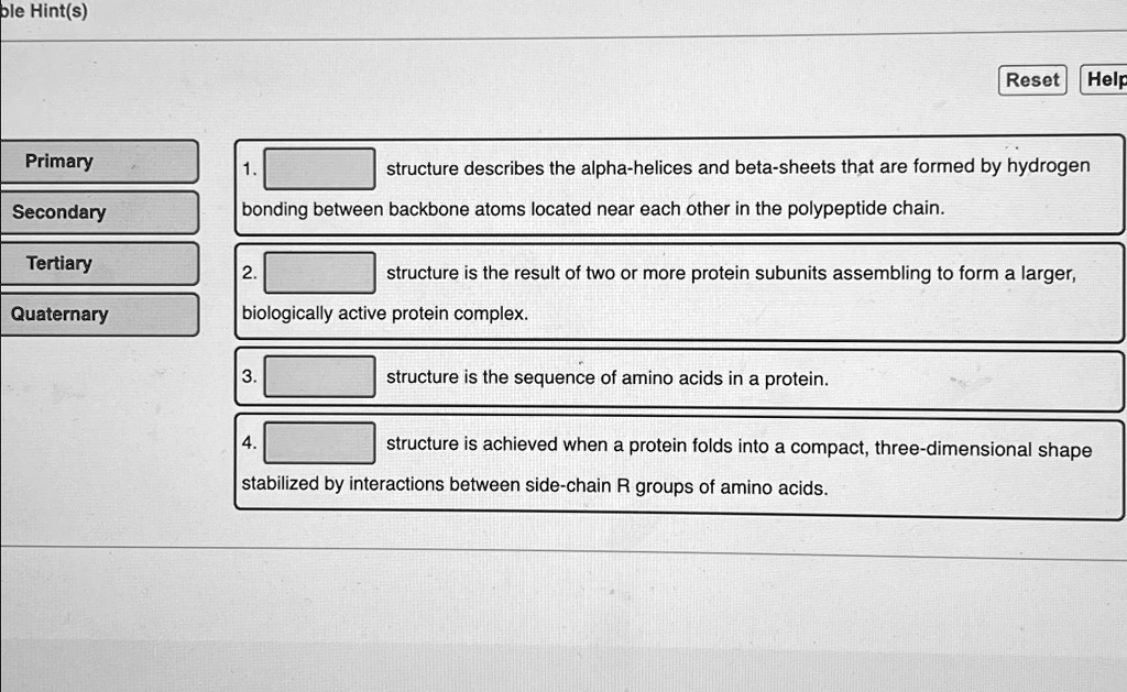 SOLVED: ble Hint(s) Primary Secondary Tertiary Quaternary structure ...