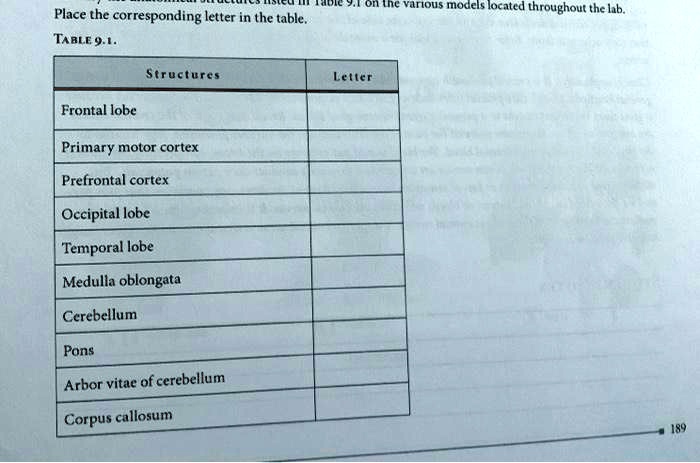 SOLVED: Place the corresponding letter in the table TABLE 9.1. Various models located throughout ...