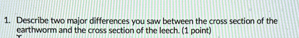 1. Describe two major differences you saw between the cross section of the earthworm and the ...