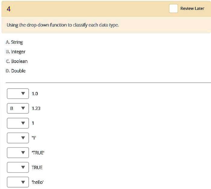 Texts: 4 Review Later Using the drop-down function to classify each data type: String, Integer ...