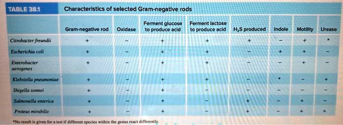 table 38 characteristics of selected gram negative rods ferment glucose ...