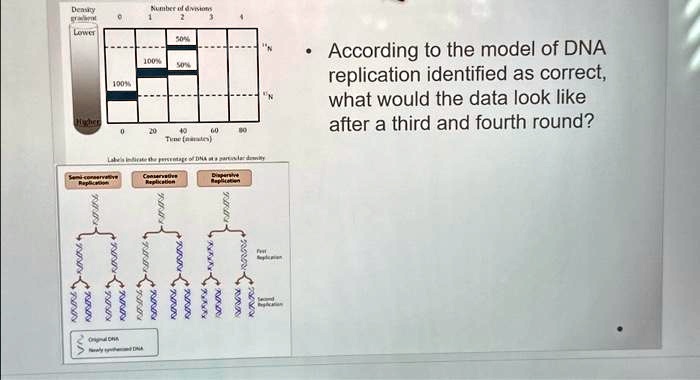 Density Number of divisions 0 1 2 3 4 Lower 50% 100% 50% 100% 0 20 40 ...