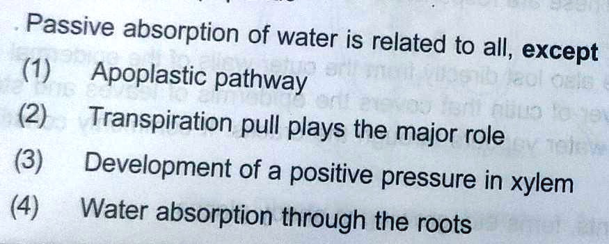 Passive absorption of water is related to all, except (1) Apoplastic ...