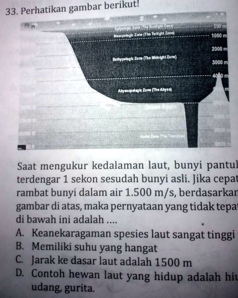 SOLVED: 33. Perhatikan gambar berikut!Saat mengukur kedalaman laut ...