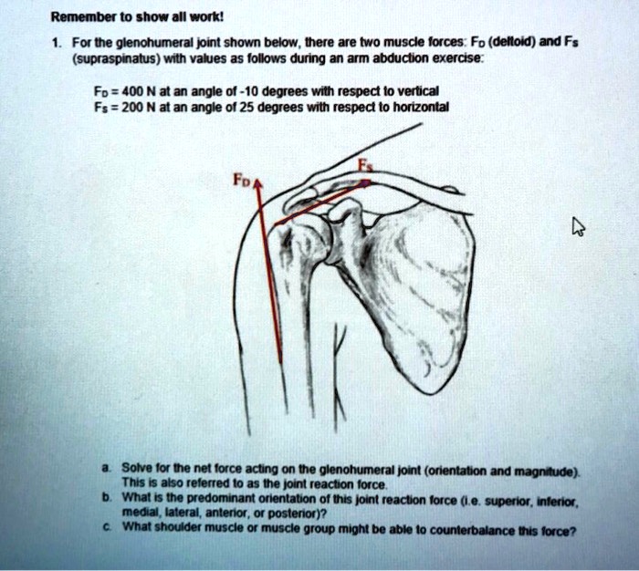 please help with abc remember to show all work 1 for the glenohumeral ...
