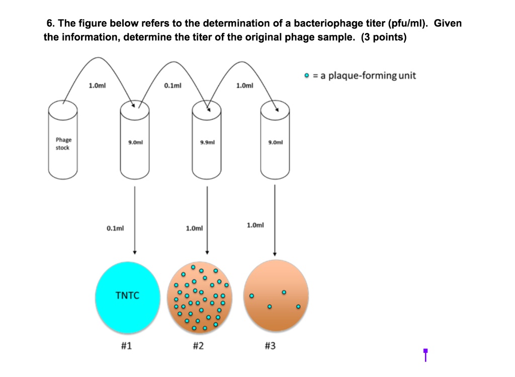 SOLVED:6. The figure below refers to the determination of a ...