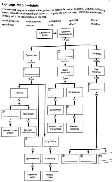 Concept Map II - Joints Comply with the organization of the map ...