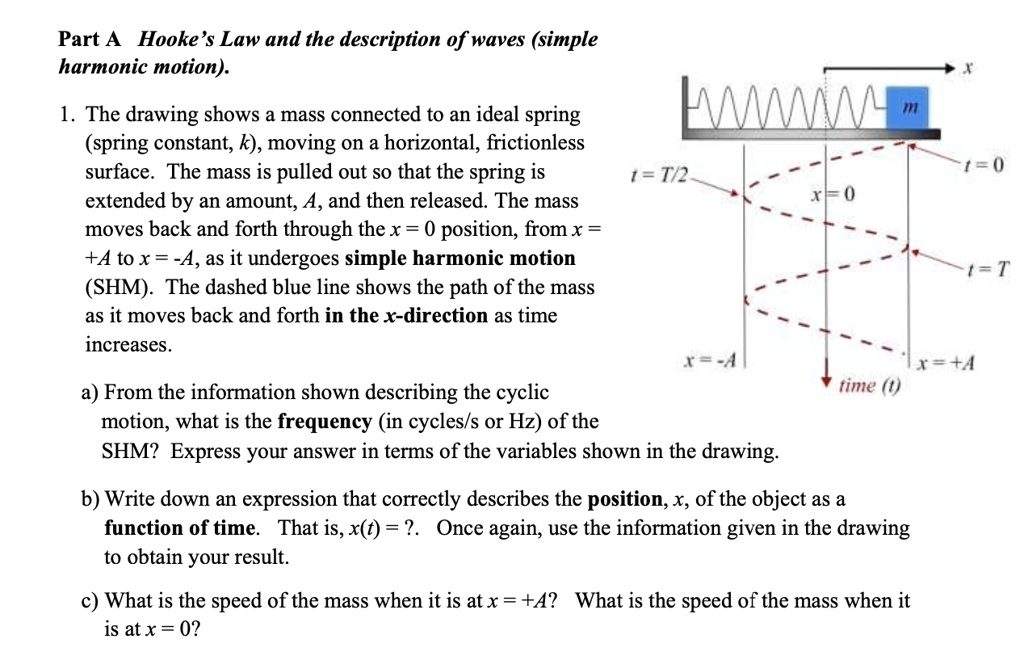 SOLVED: Part A Hooke's Law and the Description of Waves (Simple ...