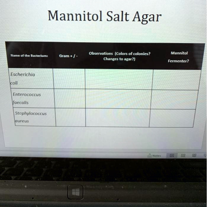 SOLVED: Mannitol Salt Agar Observations (Colors of colonies? changes to ...