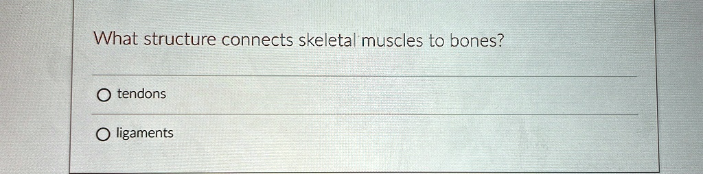 what structure connects skeletal muscles to bones tendons ligaments ...