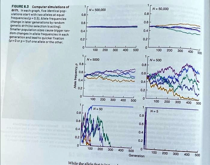 FIGURE 6.3 Computer simulations of drift. In each graph, five identical ...