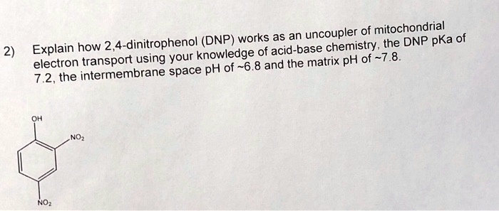 2) Explain how 2,4-dinitrophenol (DNP) works as an uncoupler of ...