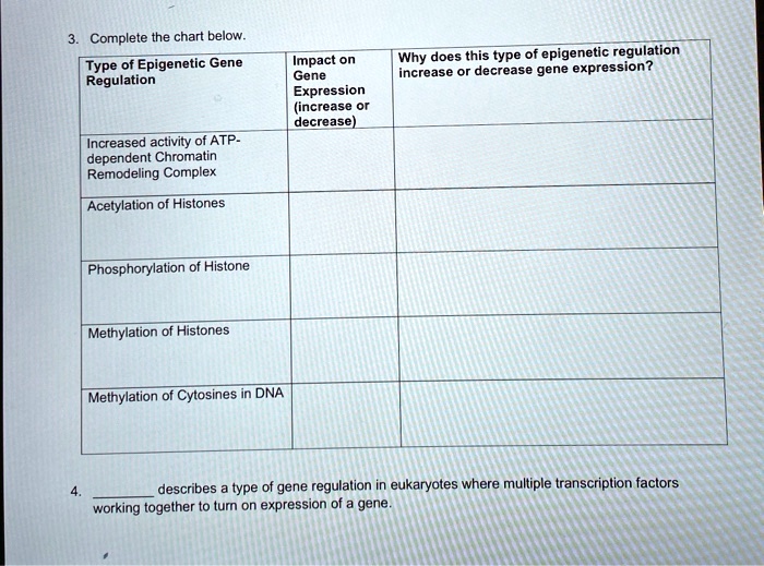 complete the chart below type of epigenetic gene regulation impact on ...