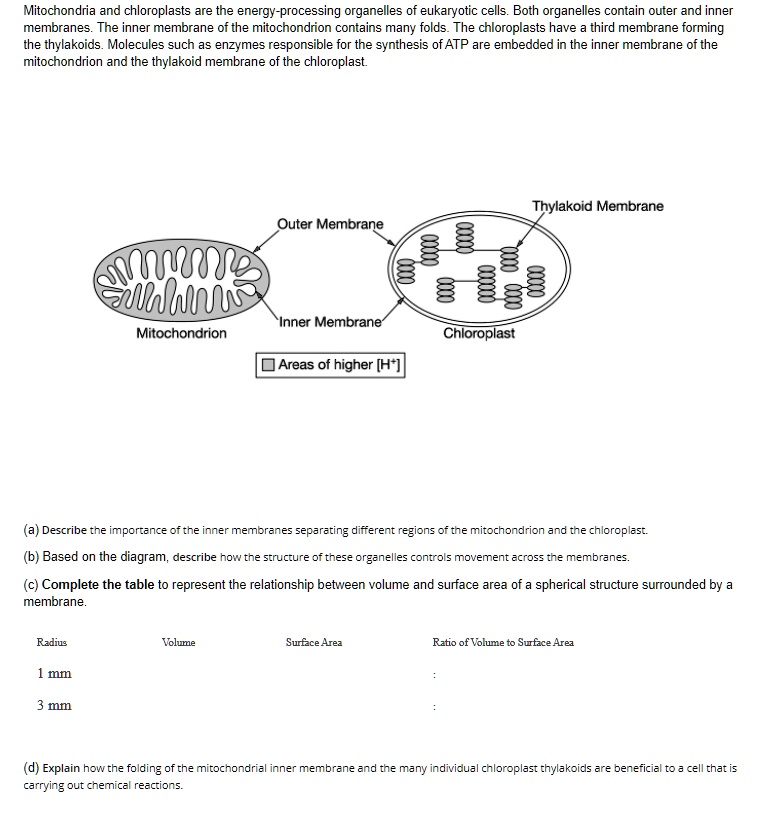 mitochondria and chloroplasts are the energy processing organelles of ...