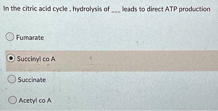 [GET ANSWER] In the citric acid cycle, hydrolysis of leads to direct ...